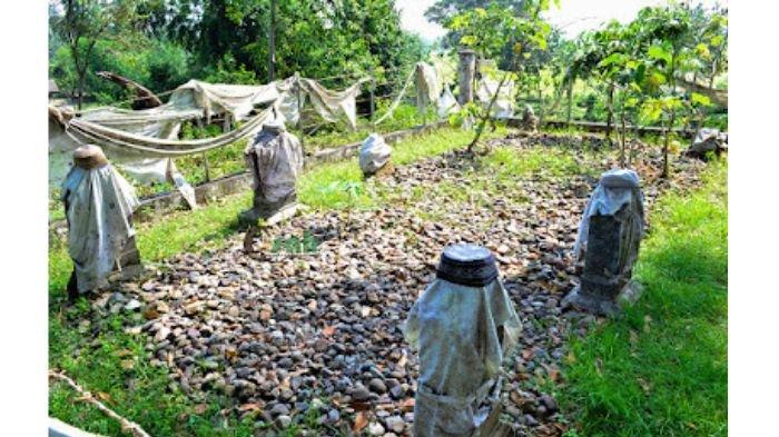 Kenali Sultan Ma’ruf Syah, Pahlawan dari Pidie, Aceh yang Melawan ...