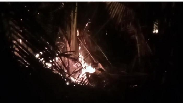 Rumpun Rumpia di Blang Cut Terbakar, Damkar Bireuen Berjibaku Padamkan ...