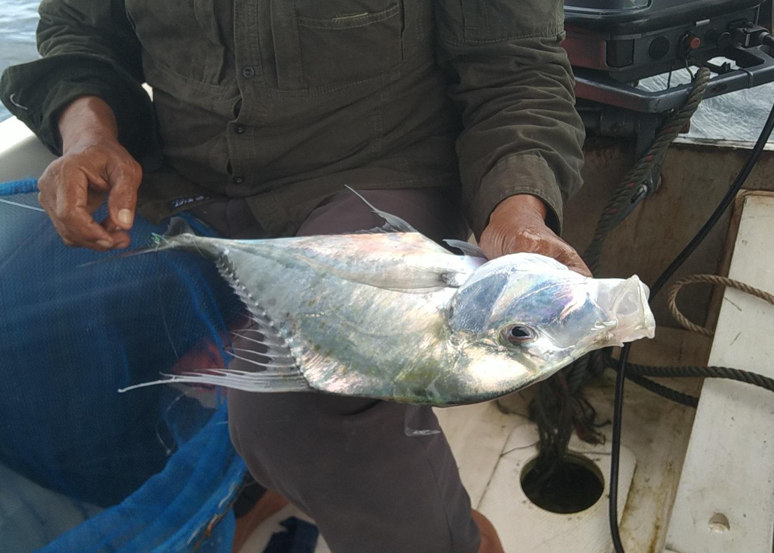 Mancing di Laut Singkil, Merasakan Sensasi Tarikan Ikan Karang ...