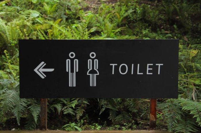 Mulai Terapkan Perilaku Hidup Bersih dan Sehat, Ini 9 Syarat Jamban ...