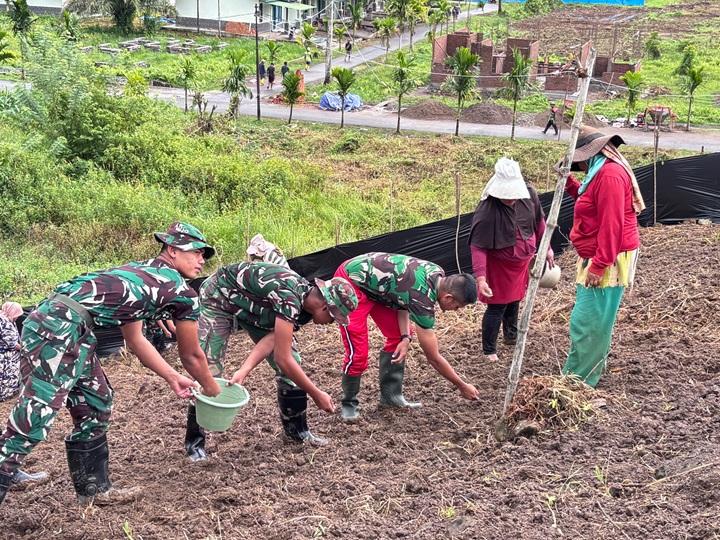 Kompi Pertanian Yonif TP-857/GG Bantu Petani Mane Pidie Tanam Kacang ...