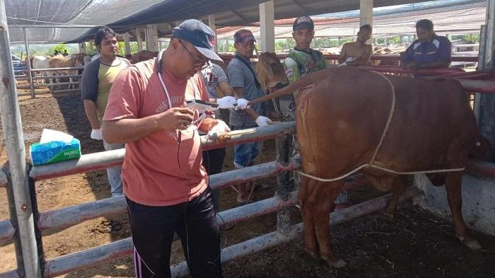Ini Alasan Pulau Breuh dan Pulau Nasi Ditetapkan sebagai Pusat ...