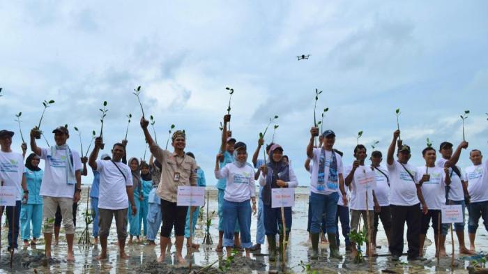 Pelindo Tanjungpandan Belitung Tanam Mangrove di Desa Tanjung Rusa ...