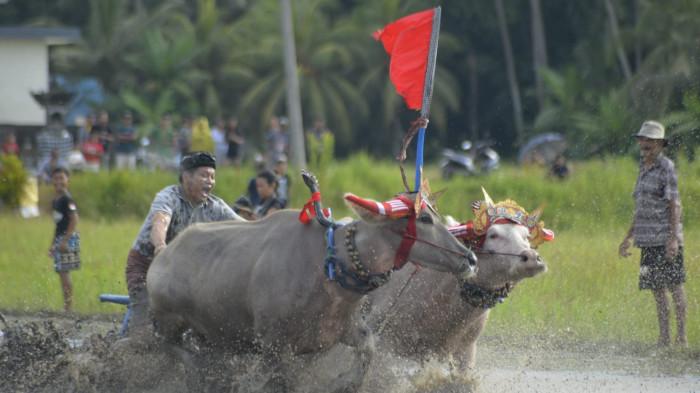 Dinas Pariwisata Luncurkan Bali Calendar of Events 2026, Terdapat 40 ...