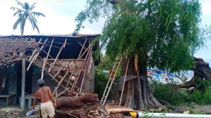 Pohon Asam Timpa Rumah dan Jukung Warga di Desa Bunutan Karangasem ...