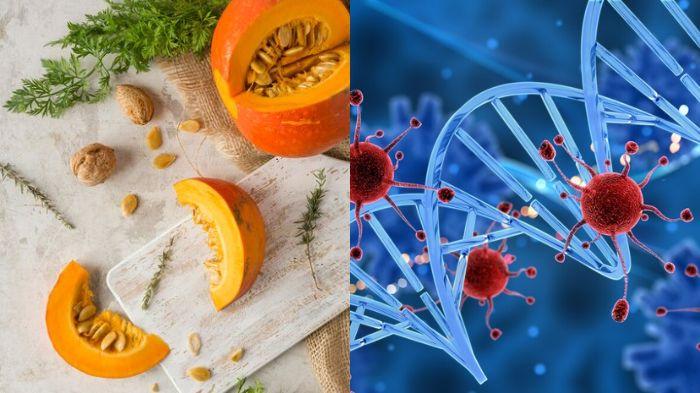 Kaya akan Antioksidan dan Serat, Manfaat Labu dalam Mengurangi Risiko ...