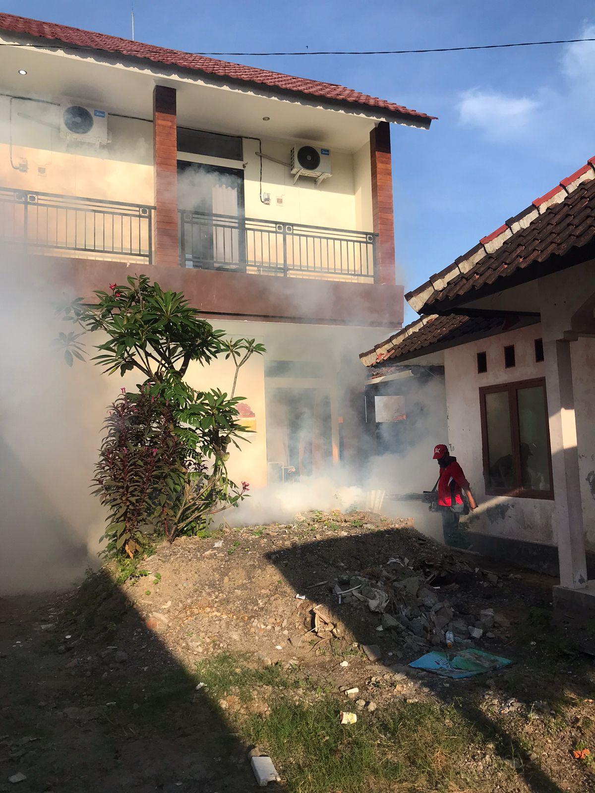 DBD di Denpasar Melesat, Capai 1.252 Kasus, Dinkes Siapkan Fogging ULV ...