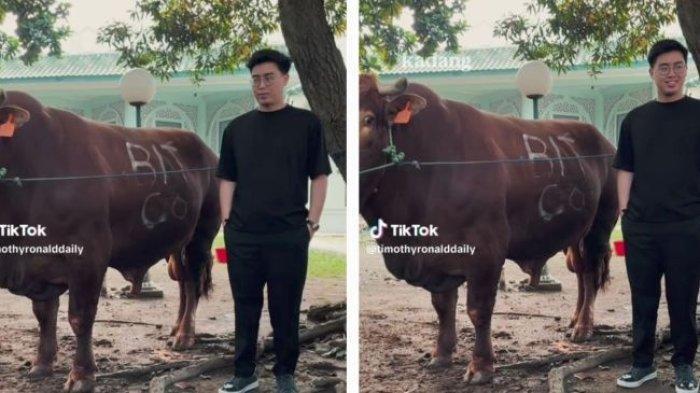 Sosok dan Sumber Kekayaan Timothy Ronald Sumbang Sapi 2 Ton, Pantas ...