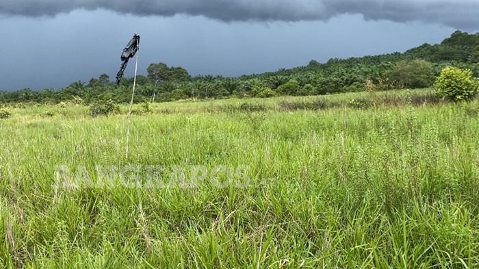 Sawah Tuik Bangka Barat Jadi Semak Belukar - Bangkapos.com