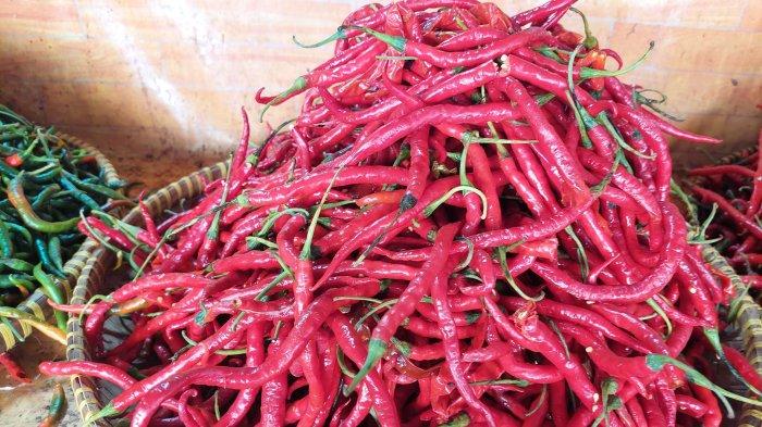 Harga Cabai Bikin Nangis, Cabai Merah Panjang Tembus Rp 100 Ribu/Kg, Pengusaha Kuliner ...