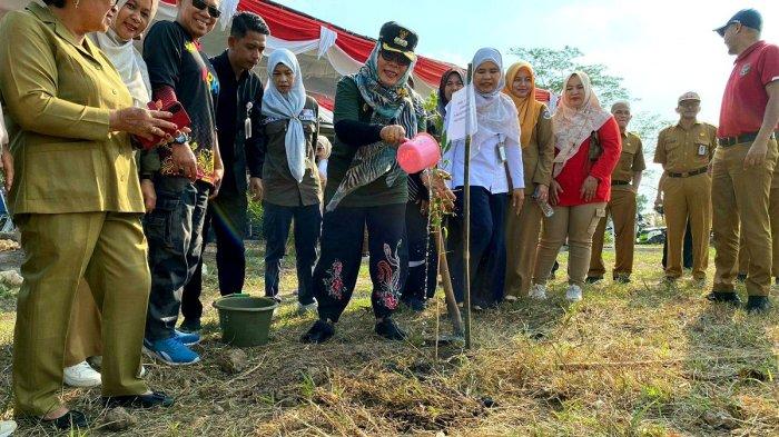 Program SEMARAK BABEL 2024, Pangkalpinang Tanam 700 Pohon, Pj Wali Kota: Untuk Investasi Masa ...