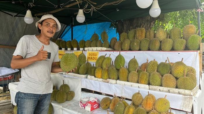 Musim Durian Tiba, Awas Jangan Sampai Kecewa, Ini Tips Memilih Durian Enak, Segar dan Masak ...