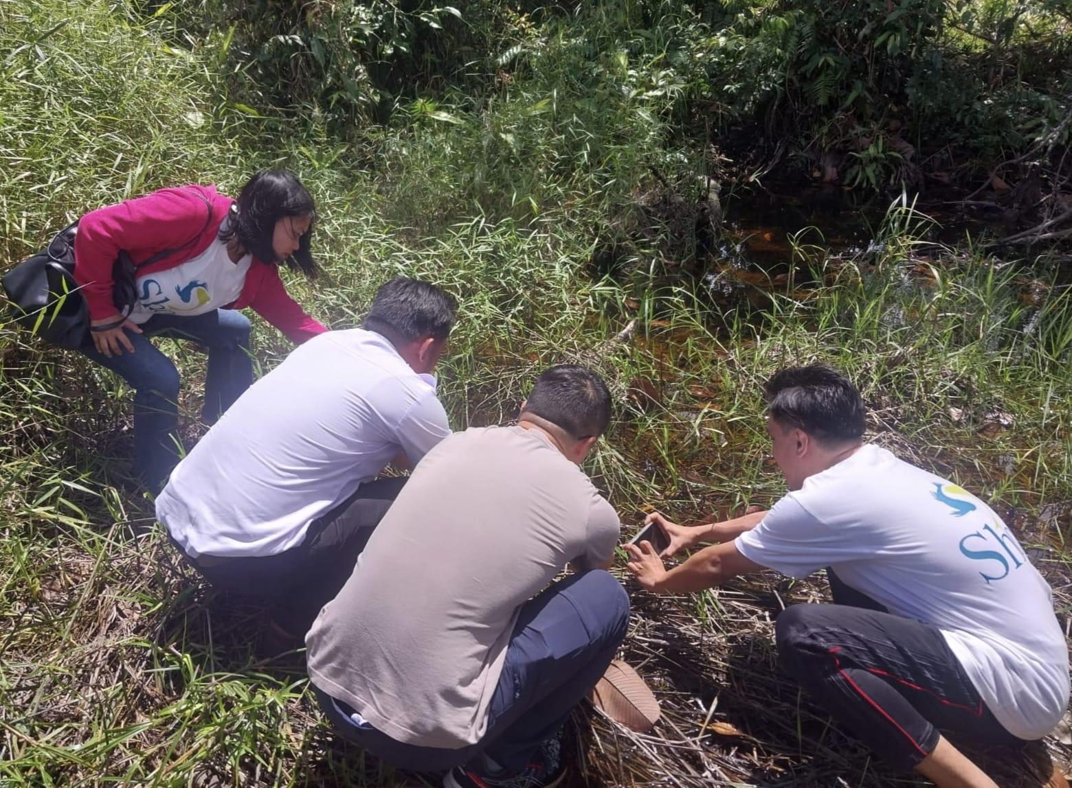Pemkab Bangka Selatan Komitmen Lakukan Konservasi Ikan Tempala Mirah ...