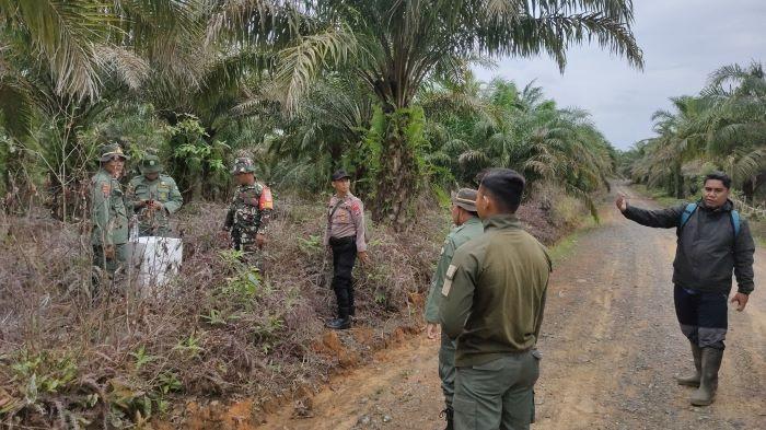 Tim BKSDA Kalsel Pergoki Warga Tanam Sawit di Kawasan Cagar Alam ...