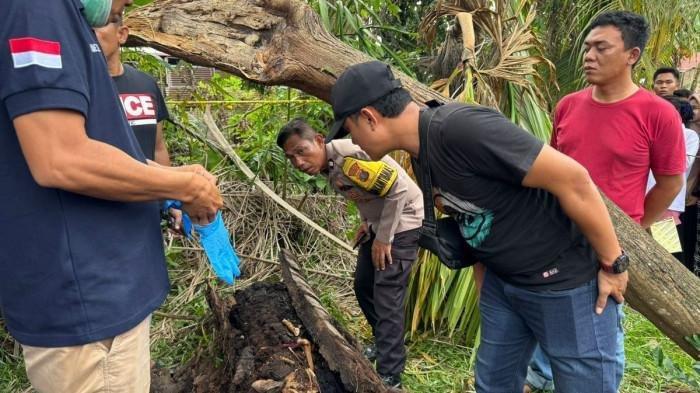 Nantikan 2 Tahun Kepulangan Anak, Ibu di Sumut Ini Terkejut Ada Temuan Kerangka di Dalam Pohon ...