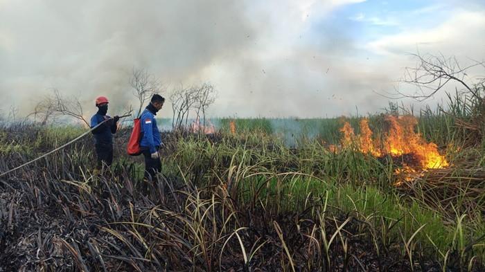 Status Siaga Darurat Karhutla di Kalsel Berakhir, Ini Data Luasan Lahan Terbakar ...