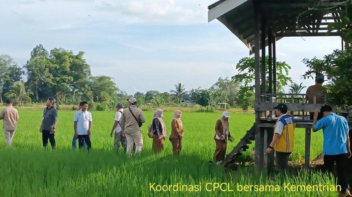 Potensi Polder Alabio untuk Pengairan Lahan Pertanian HSU, Bupati Minta ...