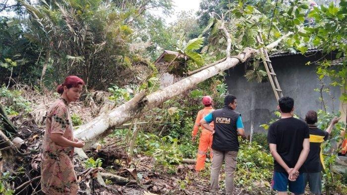 Terlelap Tidur, Pemilik Rumah di Guntung Lai Samarinda Ini Kaget ...