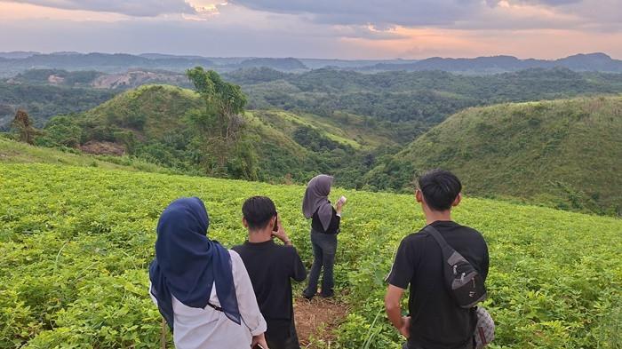 Lagi Viral, Intip Pesona Bukit Sapi di Tapin, Kalimantan Selatan yang ...