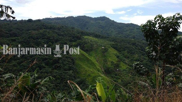 Konon Beras Hitam Ditemukan Pertama Kali Tumbuh di Atas Pegunungan ...