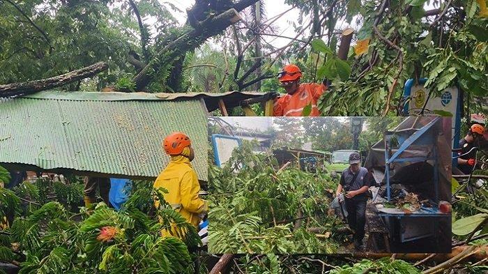 Diterjang Angin Kencang, Pohon di Pasar Antasari Banjarmasin Tumbang ...