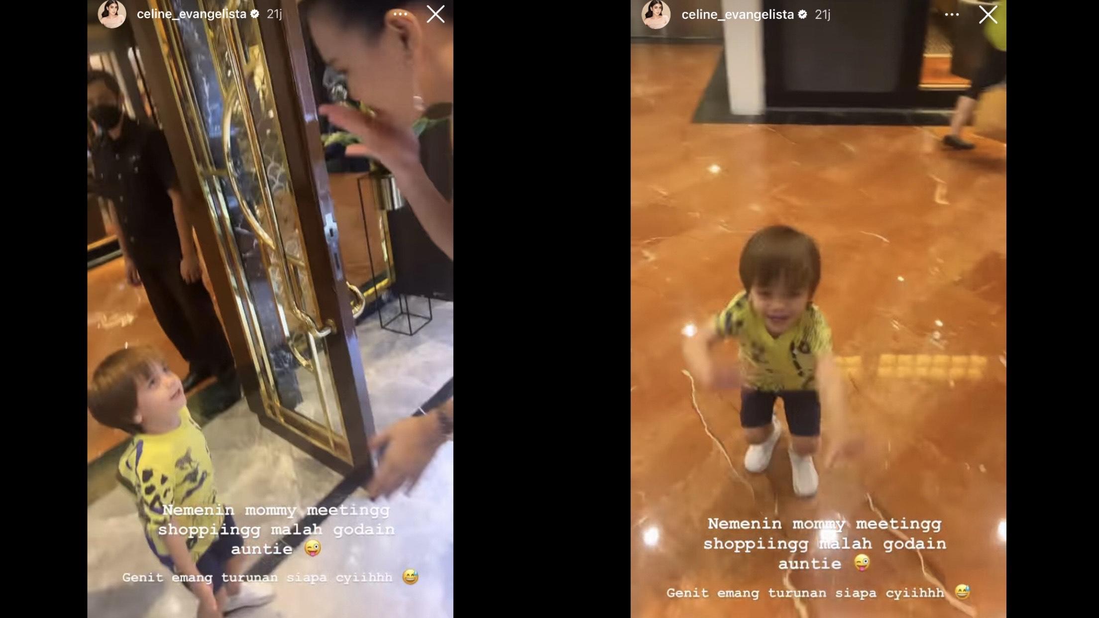 Aksi Koa Putra Stefan William Godai Cewek Terekam, Celine Evangelista: Genit Emang Turunan ...