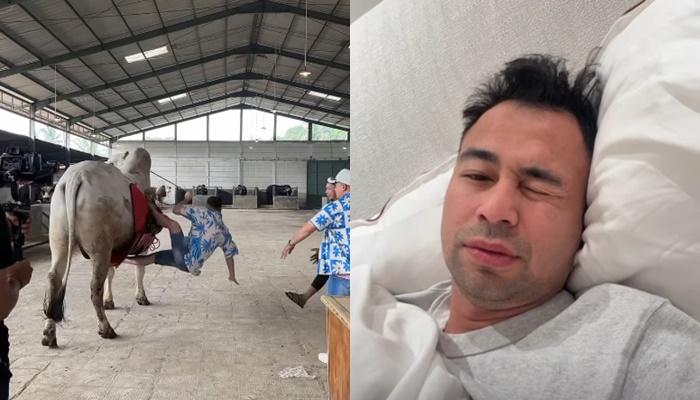 Musibah Raffi Ahmad Jatuh dari Sapi, Kondisinya Disorot Imbas Komentar Joddy Eks Sopir Vanessa ...