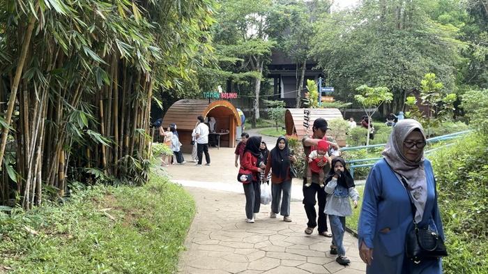 Berita Topik Amanah Borneo Park Terbaru Hari Ini - Banjarmasinpost.co.id
