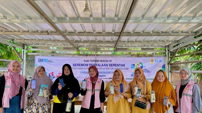 Hari Listrik Nasional, Inisiatif PLN Banten Pasok Listrik Buka Peluang ...