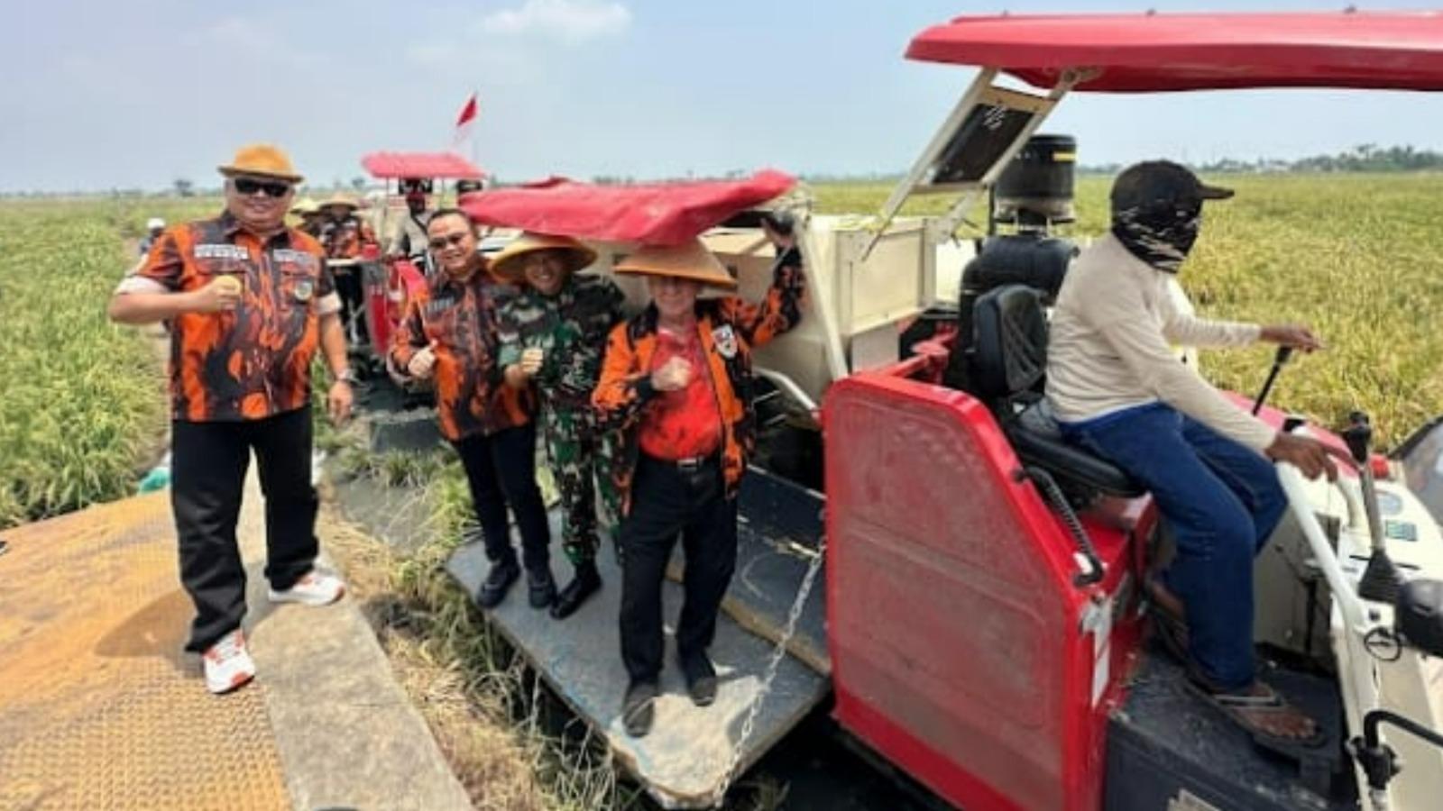 Wali Kota Serang Budi Rustandi Apresiasi Panen Raya Padi Digagas PP ...