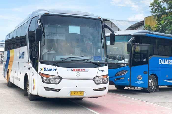 Cuma Rp50 Ribu! Ini Cek Jadwal dan Rute Damri Terminal Poris Plawad ...