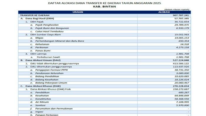 Daftar Lengkap Dana Transfer ke Daerah 2025 Bintan Kepulauan Riau Rp 907 Miliar - Tribunbatam.id