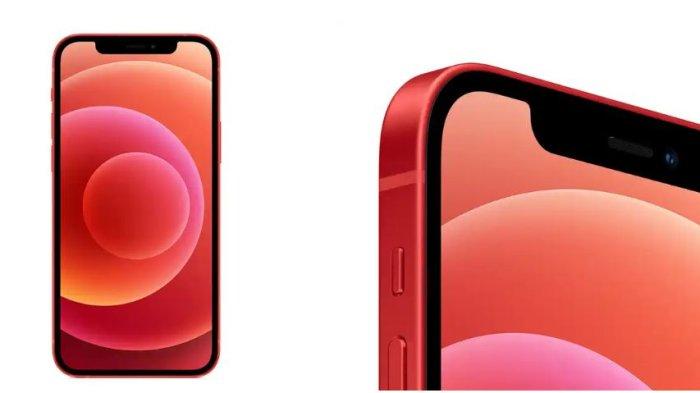 iPhone 12 Muncul Lagi di iBox! Anjlok Segini Harga HP iPhone 12 Beserta Kapasitas Memorinya Hari ...