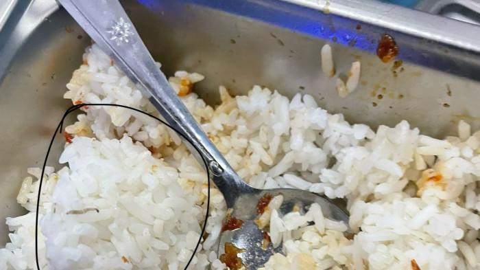 Daftar Berita Populer Kepri, Temuan Ulat di Nasi MBG Hingga Warga ...