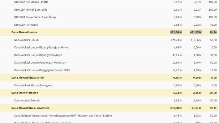 Dana Transfer ke Daerah 2025 Kota Surakarta Sudah Cair Rp 553,5 Miliar, Cek Besaran DAU ...