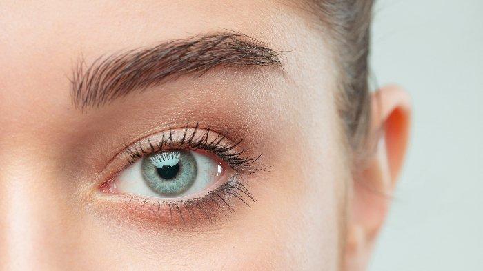 Arti Kedutan di Alis Kiri, Benarkah Jadi Pertanda Bertemu Jodoh ...