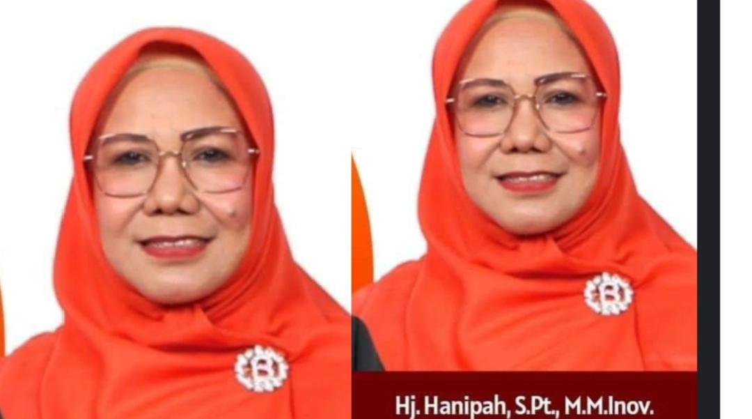 Sosok Hanipah Wakil Bupati Sumbawa Barat Terpilih Dilantik 20 Februari 2025, Intip Rekam ...