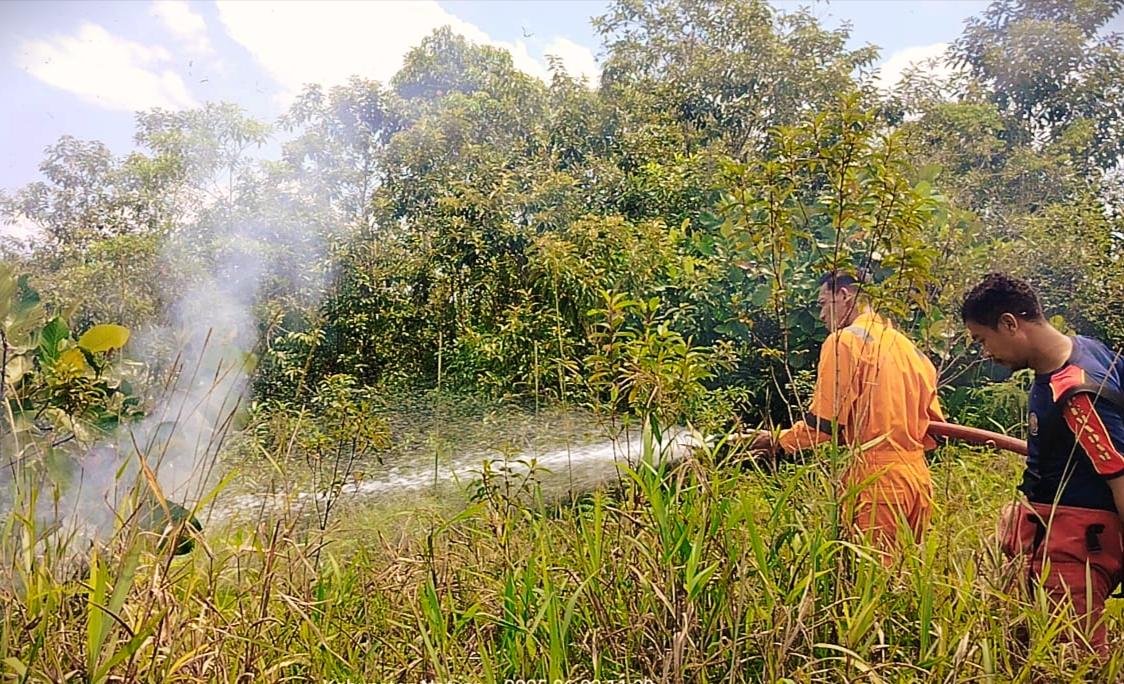 Kebakaran Lahan di Batu Sisir Natuna Kepri, Tim Damkar Gerak Cepat Jinakkan Api - Tribunbatam.id