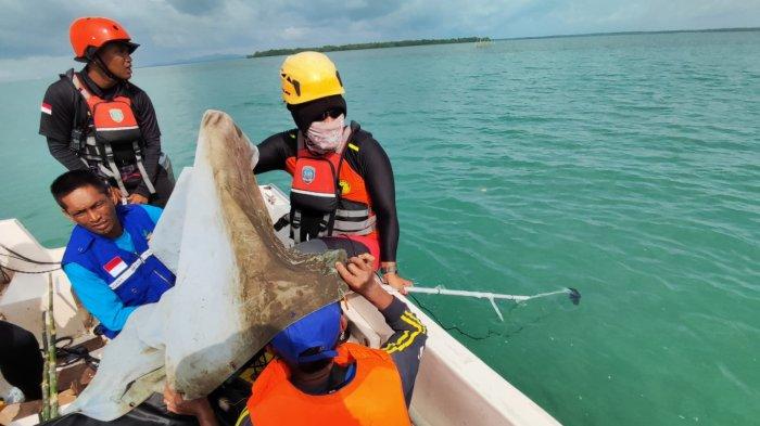 Harnia Tak Ditemukan di Hari Terakhir Pencarian di Laut Suge Beltim ...