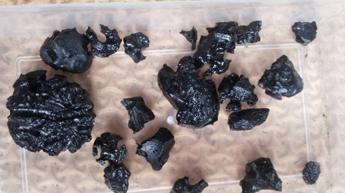 Wisata Belitung: Mengenal Batu Satam Khas Belitung, Salah Satu Batu ...