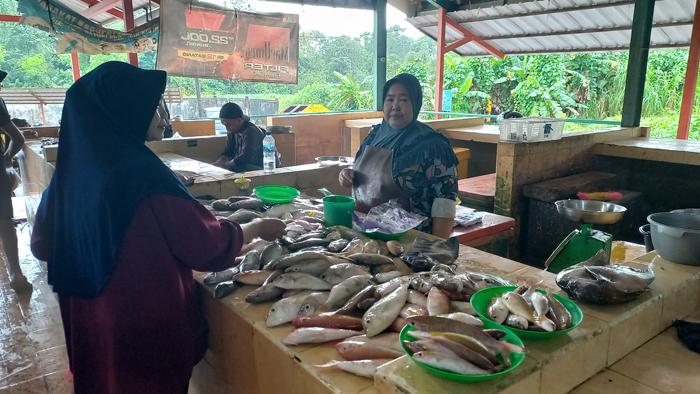 Harga Ikan di Pasar Kampit Belitung Timur Hari Ini Naik, Faktor Cuaca ...