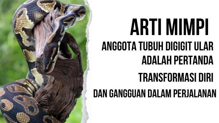 5 Arti Mimpi Tangan, Jari dan Kaki Digigit Ular, Transformasi Diri ...