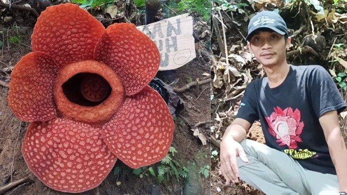 7 Ikon Wisata Bengkulu yang Terkenal hingga Mendunia, Wajib Dikunjungi ...