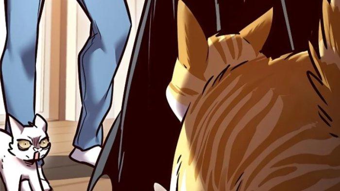 Baca Spoiler Eleceed 278 Bahasa Indonesia, Sosok Kucing Kaiden Ketahuan ...