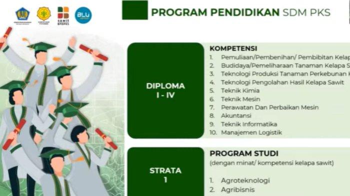 Resmi Dibuka 17 Mei 2025, Ini Cara dan Syarat Daftar Beasiswa Sawit ...