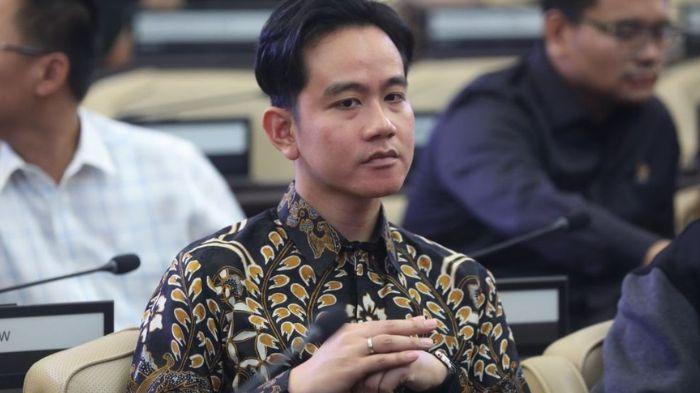 Alasan Gibran Dimakzulkan Sebagai Wakil Presiden, Pakar Hukum Tata ...