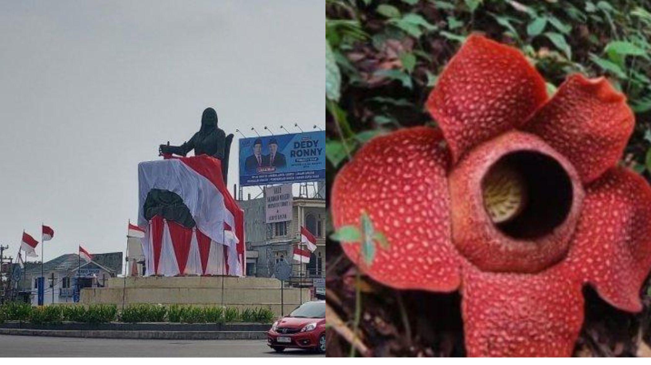 Pro Kontra Ganti Nama Julukan Provinsi Bengkulu, dari Bumi Rafflesia ke ...