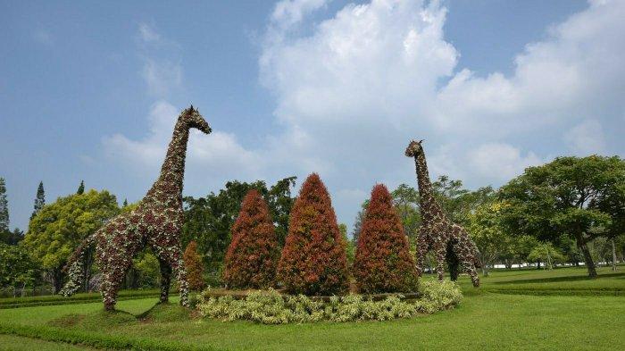 Liburan ke Tempat Wisata Taman Bunga Nusantara Cianjur, Spot Foto Bunga ...