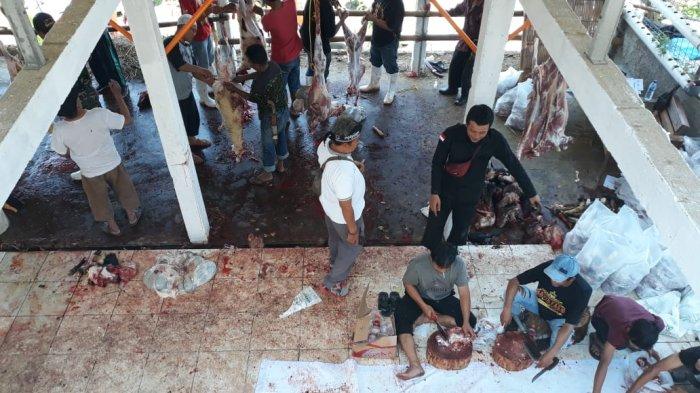 Mahir Farm Bogor Distribusikan 18.700 Hewan Kurban, Singgung Soal ...