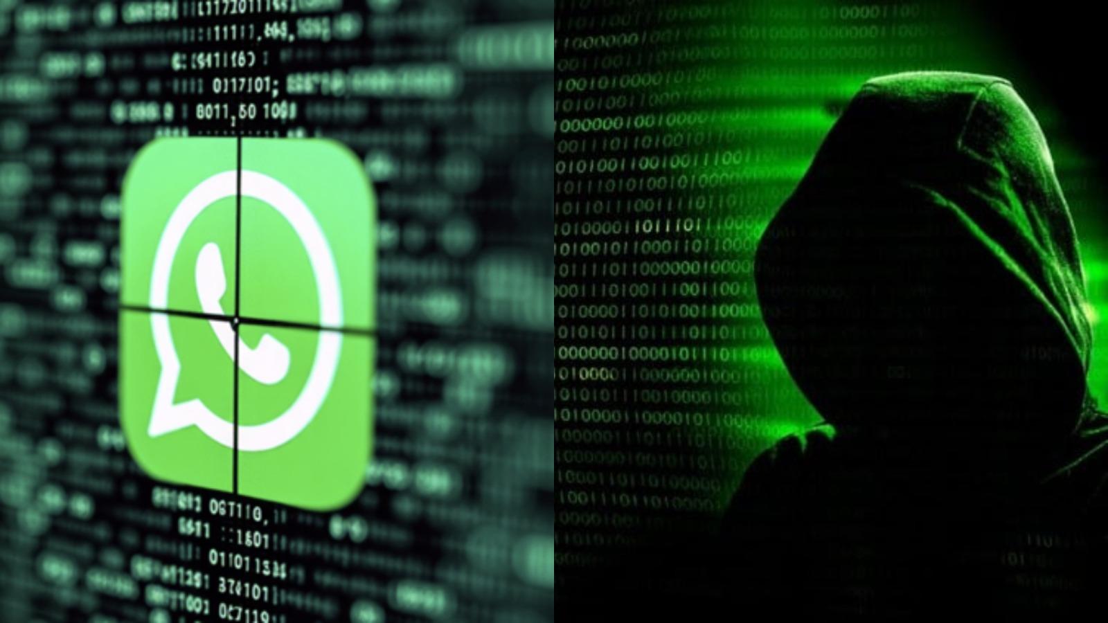 Akun WhatsApp Kena Hack? Jangan Panik, Ini 4 Cara untuk ...